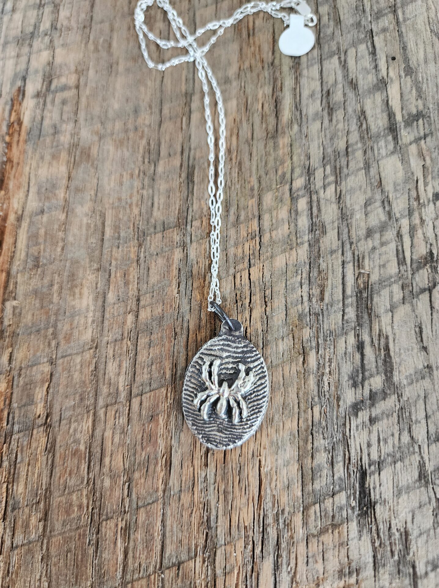 Cuttlefish Cast Pendant with Spider | The Red TeePee